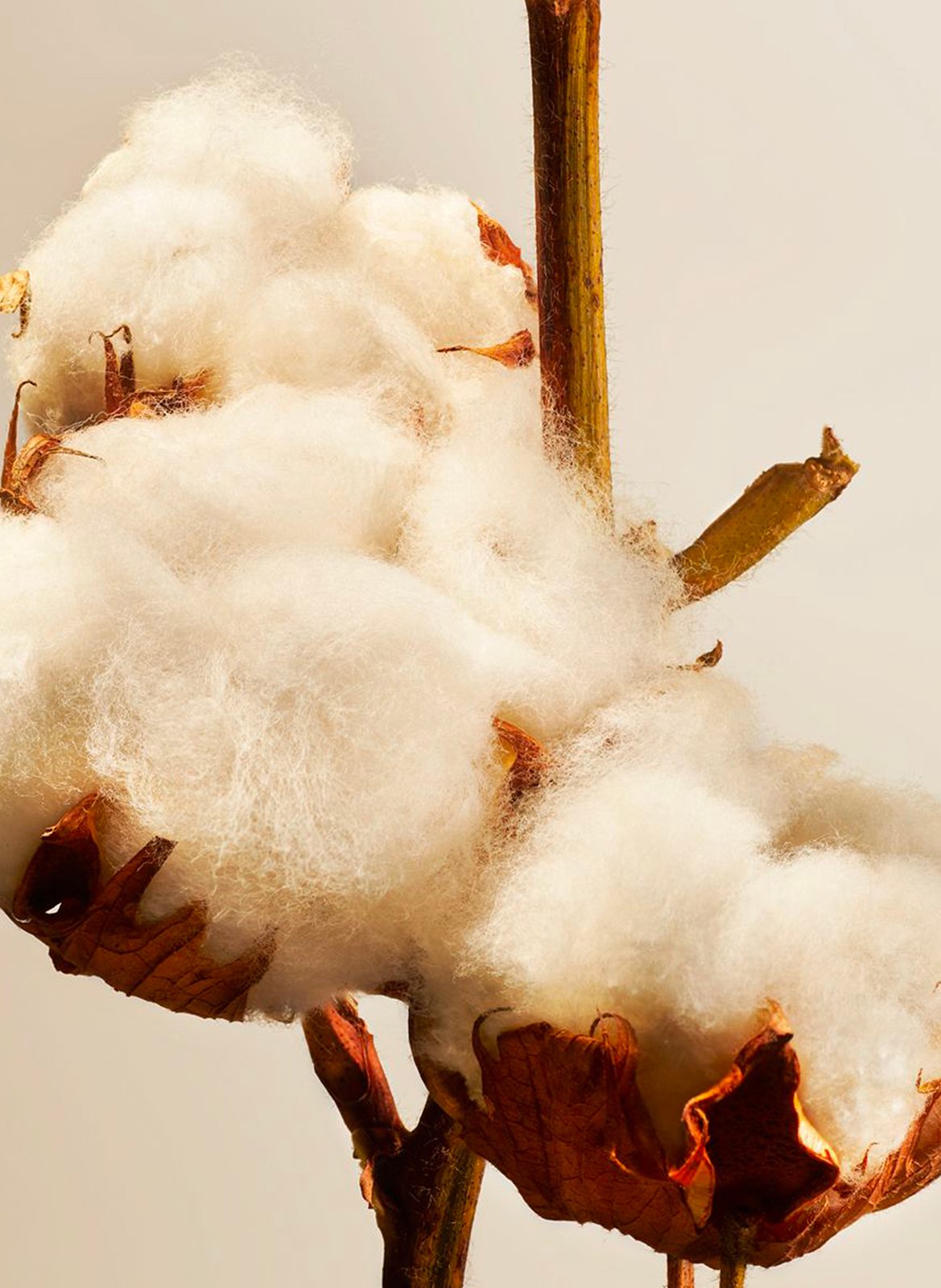 Cotton Blossom - Scented Sticks Refill - Rituals Beauty | Printemps.com