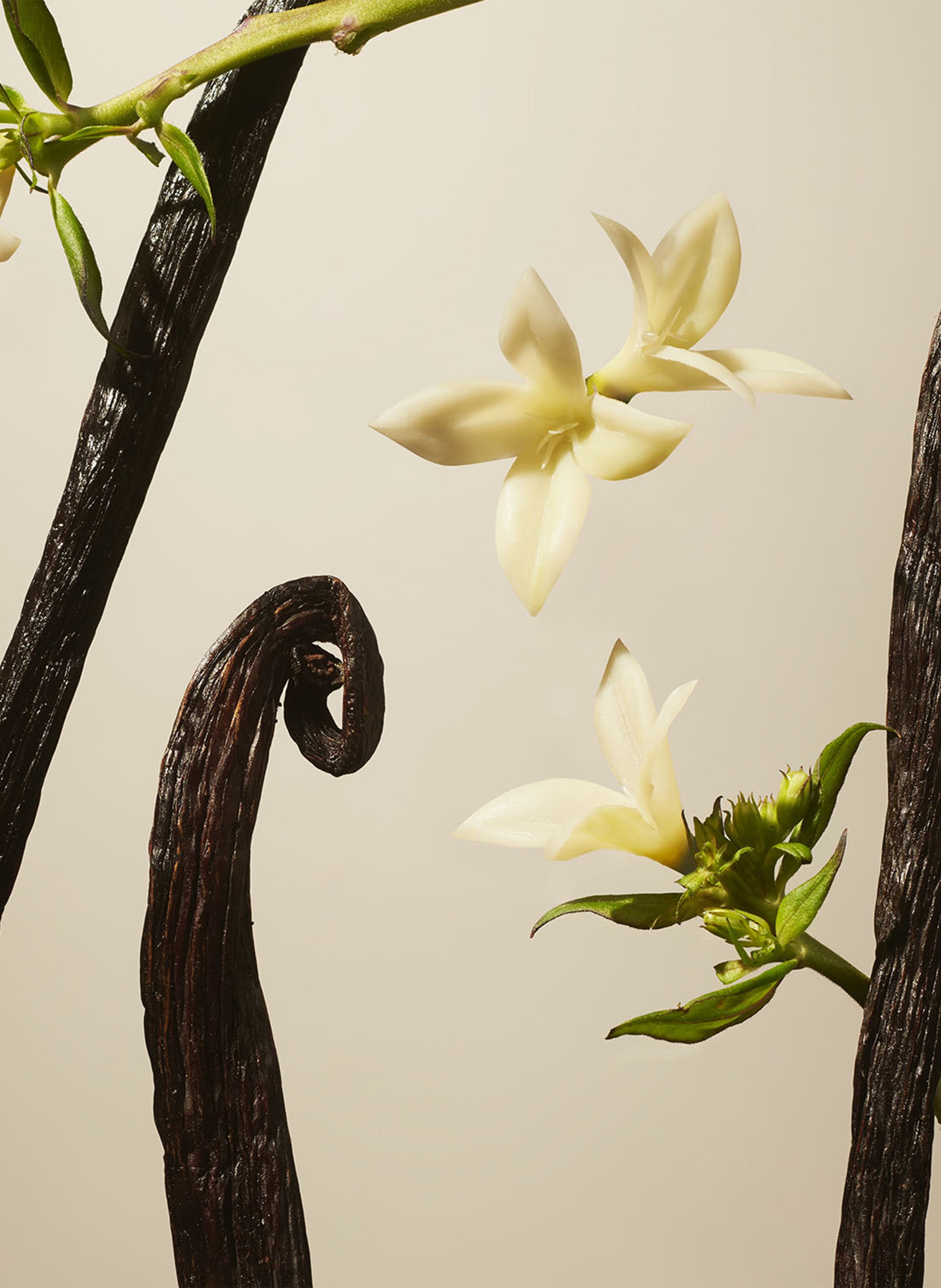 Suede Vanilla - Parfum D'intérieur - Rituals Beauté | Printemps.com